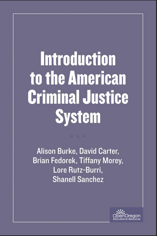 Introduction to the American Criminal Justice System – Curriculum ...